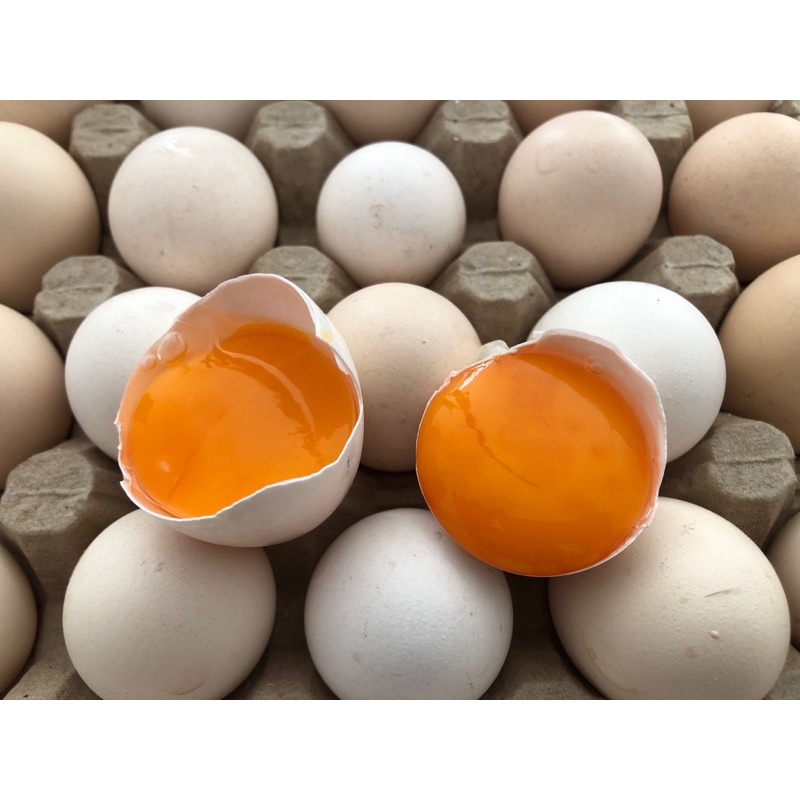 Jual Telur Ayam Kampung Merah Omega | Shopee Indonesia