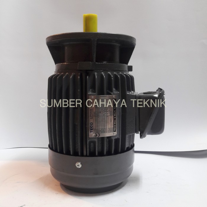 Jual Teco 2 Hp 3 Phase Induction Motor Dinamo / Elektro Motor Flange | Shopee Indonesia