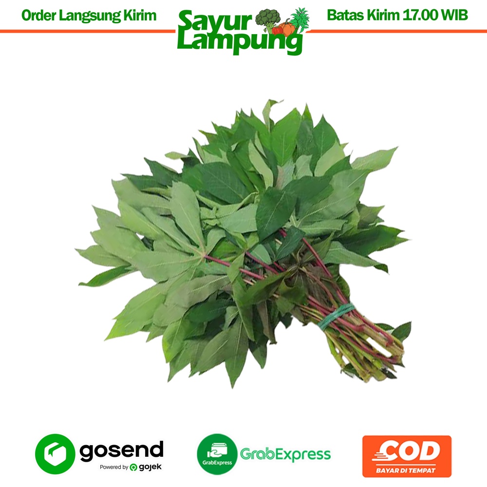 Jual Daun Singkong 1 Ikat - Sayur Lampung | Shopee Indonesia