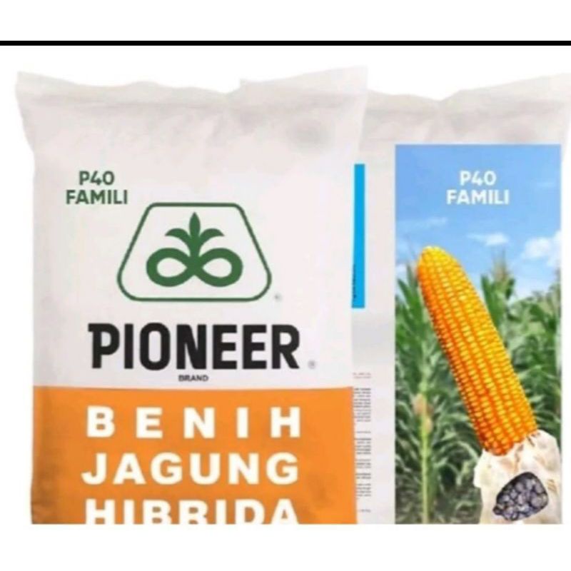 Jual Benih jagung PiONEER P40 family 1kg | Shopee Indonesia