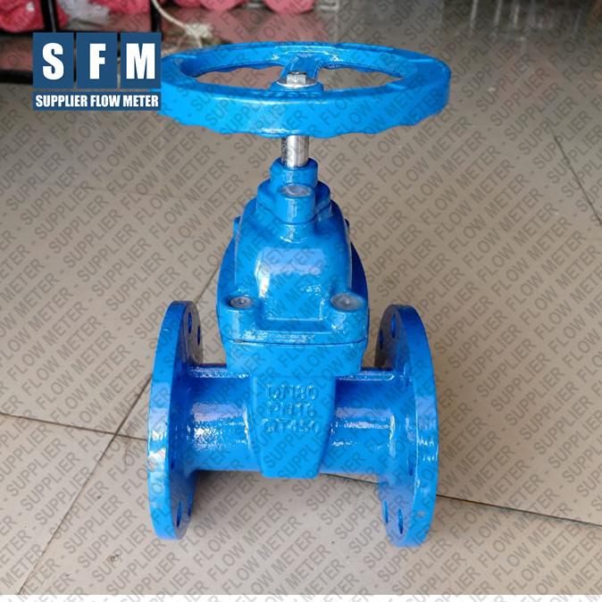 Jual Jual Gate Valve Flange 3 Inch - Gate Valve Ductile Iron 80Mm Pn16 ...