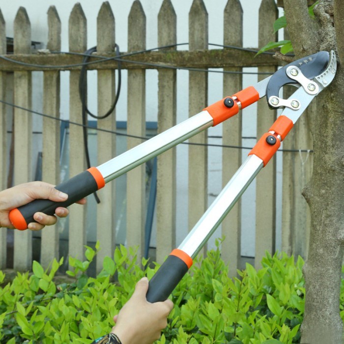 Jual [Gunting] Gunting Taman Gagang Panjang Potong Ranting Dahan Pohon ...