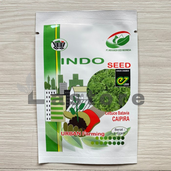 Jual benih bibit selada caipira lettuce batavia 1 gram kemasan original ...