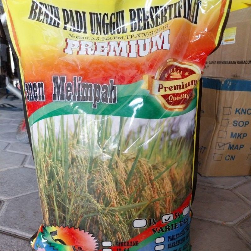 Jual benih padi inpari 32 premium 5kg | Shopee Indonesia