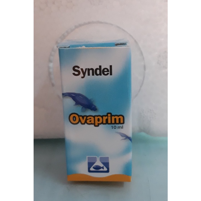 Jual OVAPRIM SYNDEL Uk. 10ml | Shopee Indonesia