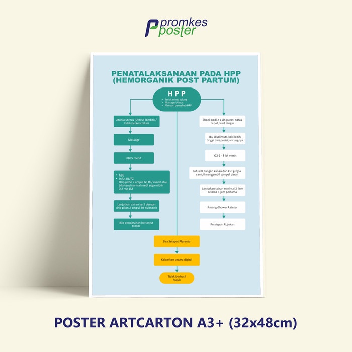 Jual Poster Kebidanan Alur Penatalaksanaan pada HPP Hemoragic Post ...