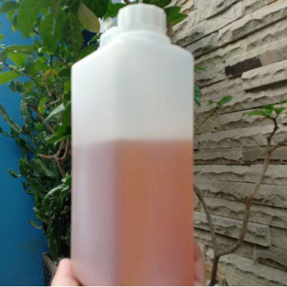 Jual madu flores 1kg madu hutan NTT murni madu murah jakarta | Shopee ...