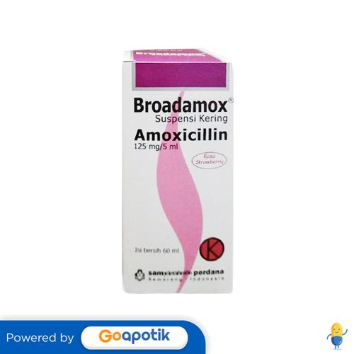 Jual BROADAMOX 125 MG/5 ML DRY SYRUP 60 ML | Shopee Indonesia