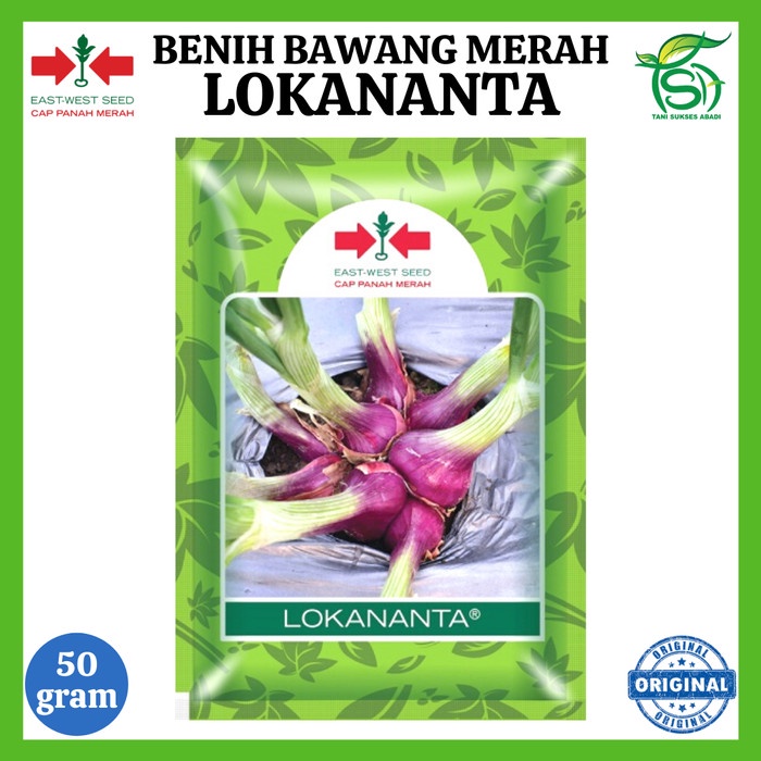 Jual Benih Bawang Merah LOKANANTA 50 Gram - Bibit Cap Panah Merah 50 Gr ...
