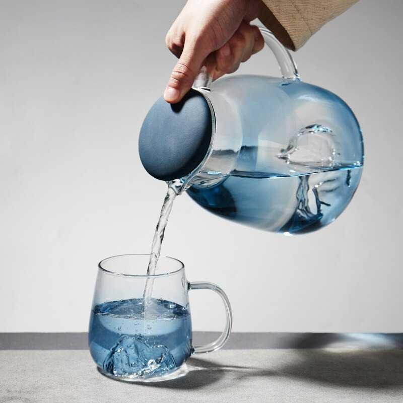 Jual LENG SHUI HU Teko Pitcher Teh Jus Borosilicate Glass 1.8L with 2 ...