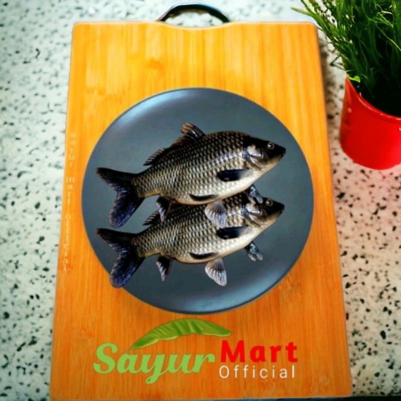 Jual Ikan Mas Segar 500gr | Shopee Indonesia
