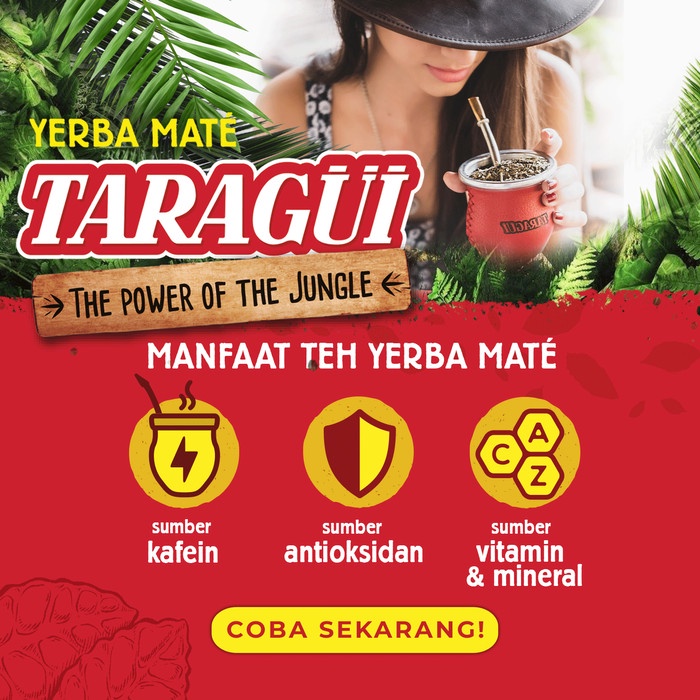 Jual Taragui Yerba Mate Original With Stems 500G Teh Botanikal ...