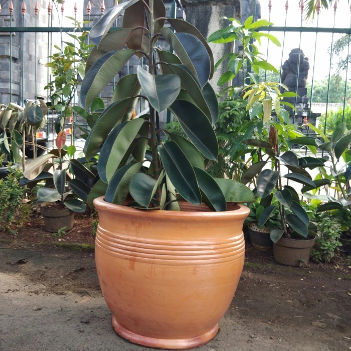 Jual POT BESAR ,POT TANAMAN DARI GERABAH TANAH LIAT D50 CM WARNA MARBEL ...