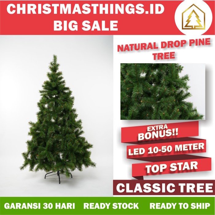 Jual Baru!! Pohon Natal Pinus Natural Drop Pine Tree 1 2 3 meter Jarum Klasik Tree | Shopee ...