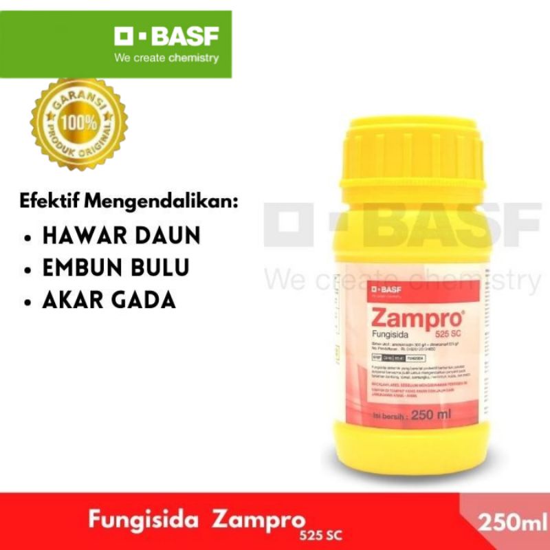 Jual Obat Busuk Daun Hawar Daun Kentang - Fungisida Sistemik Zampro 250 ...