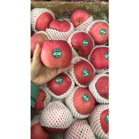 Jual buah apel fuji premium 900gr - 1 kilo pohon / sunmoon / widerways ...