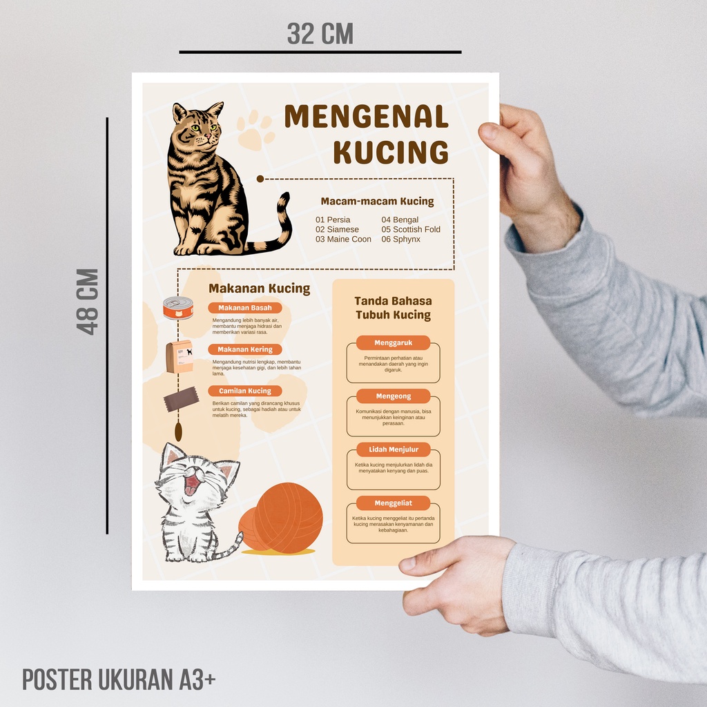 Jual Poster edukasi tentang mengenal kucing - Ukuran A3plus | Shopee ...