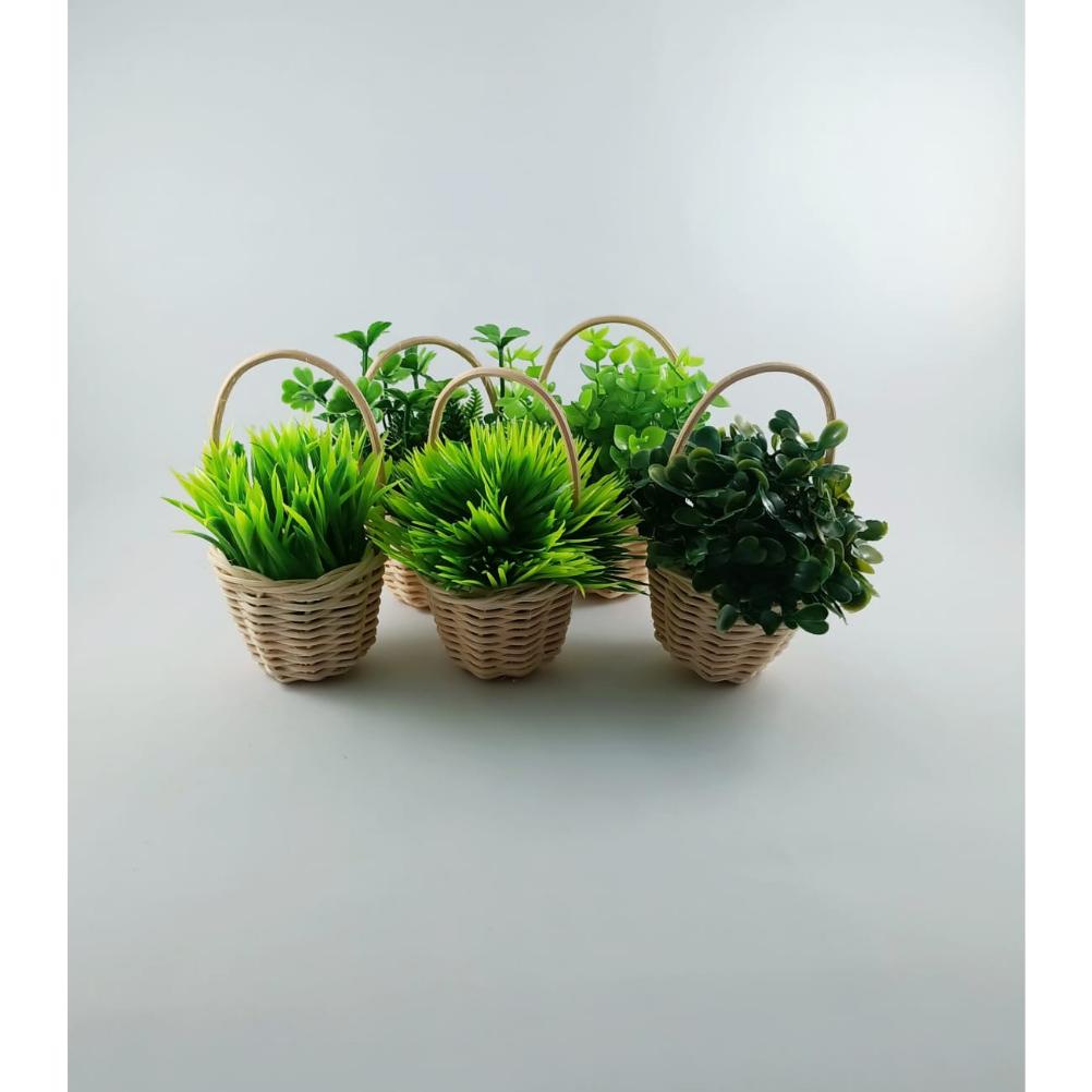Jual Set Mini Keranjang Rotan Daun Rumput Tanaman Hijau Rangkaian ...