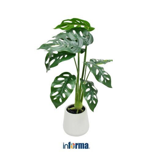 Jual Informa Tanaman Artifisial Monstera Adansonii 11X11X38 cm - Hijau ...