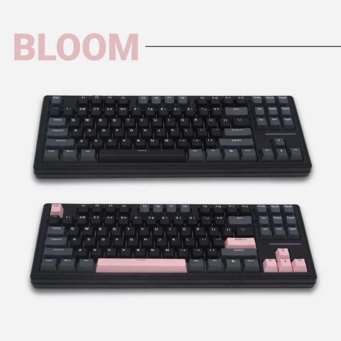 Jual VortexSeries Xera87 / Xera-87 Wireless Mechanical TKL Gaming ...