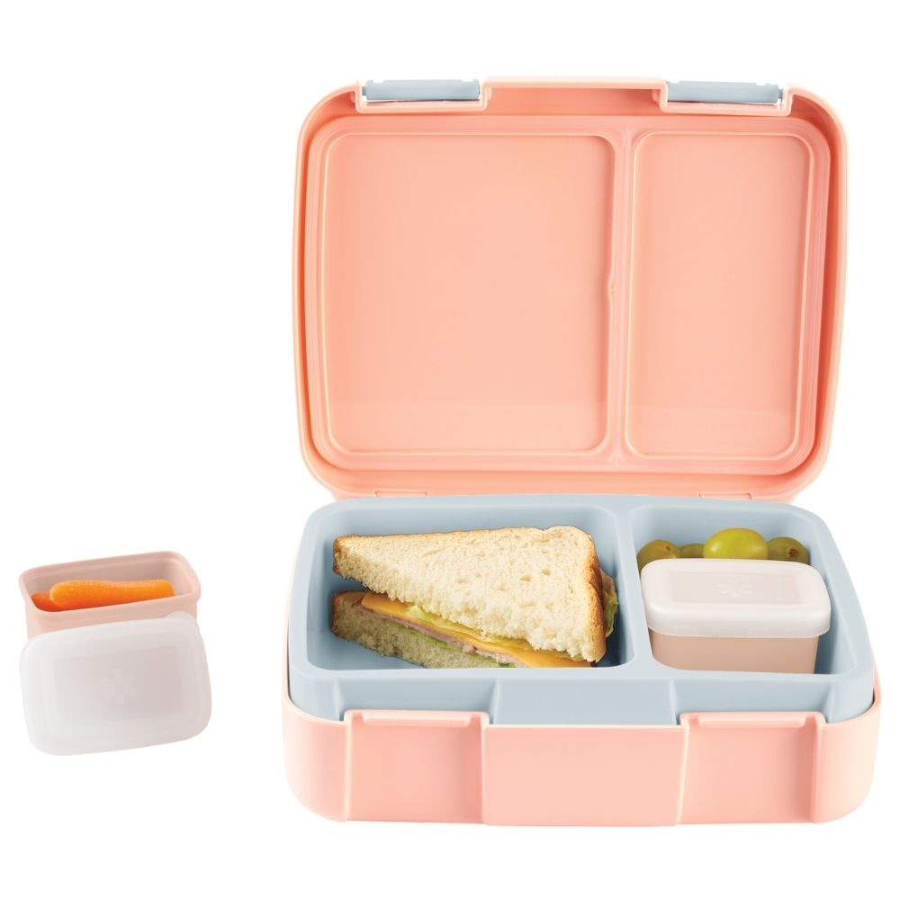 Jual Skip Hop Spark Style Bento Box Rainbow - Kotak Makan Anak Sekolah ...