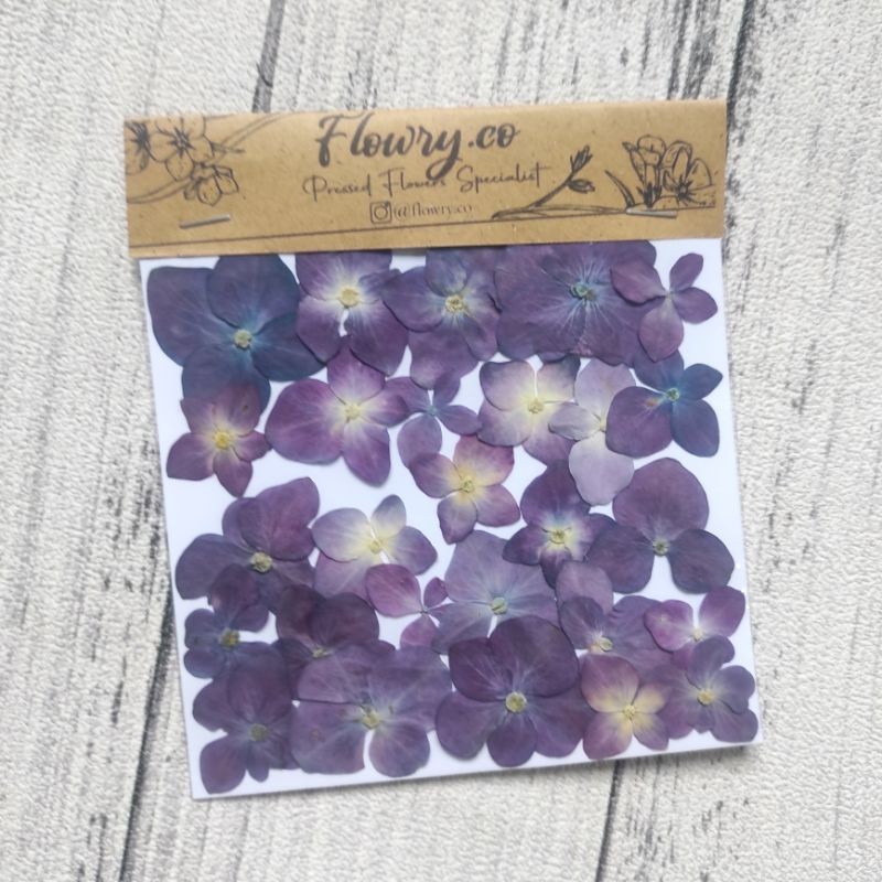 Jual 1 PACK pressed flower PART 1 bunga kering asli bahan diy craft ...