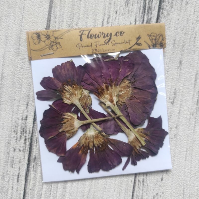 Jual 1 PACK pressed flower PART 1 bunga kering asli bahan diy craft ...