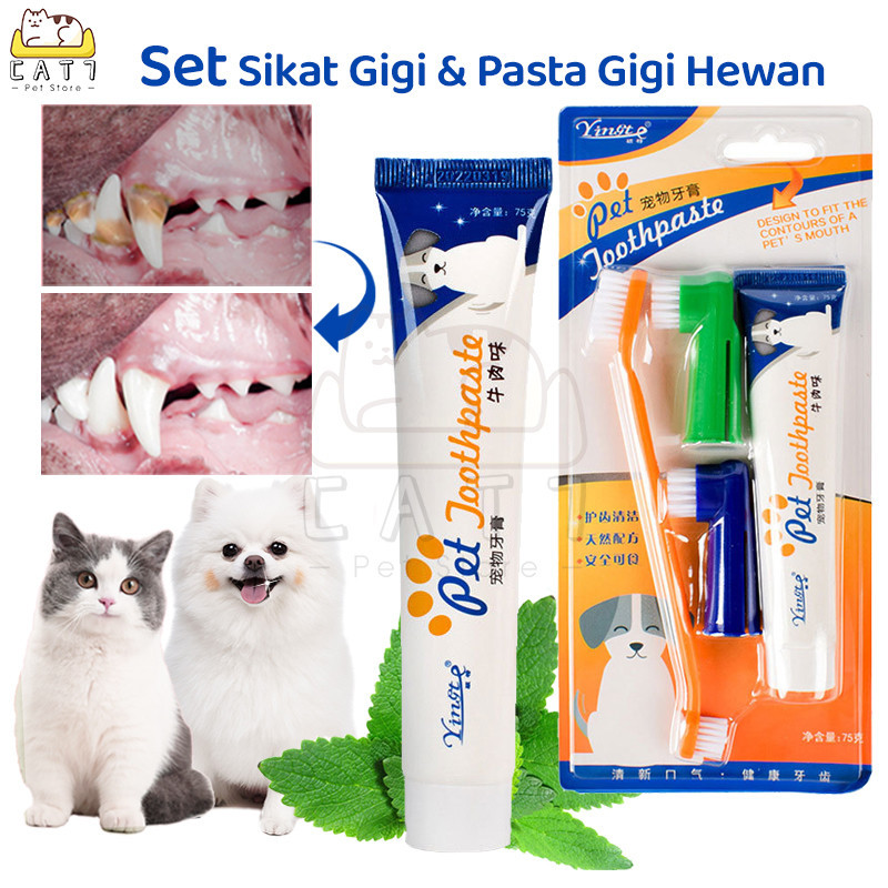 Jual Sikat Gigi dan Pasta Gigi Kucing Anjing 4in1 Odol Set Pembersih ...