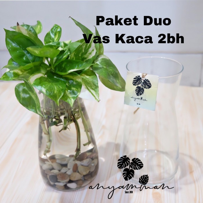 Jual Pot Kaca Bening Karafe/Vas Bunga Kaca Karaf/Plant Water ...