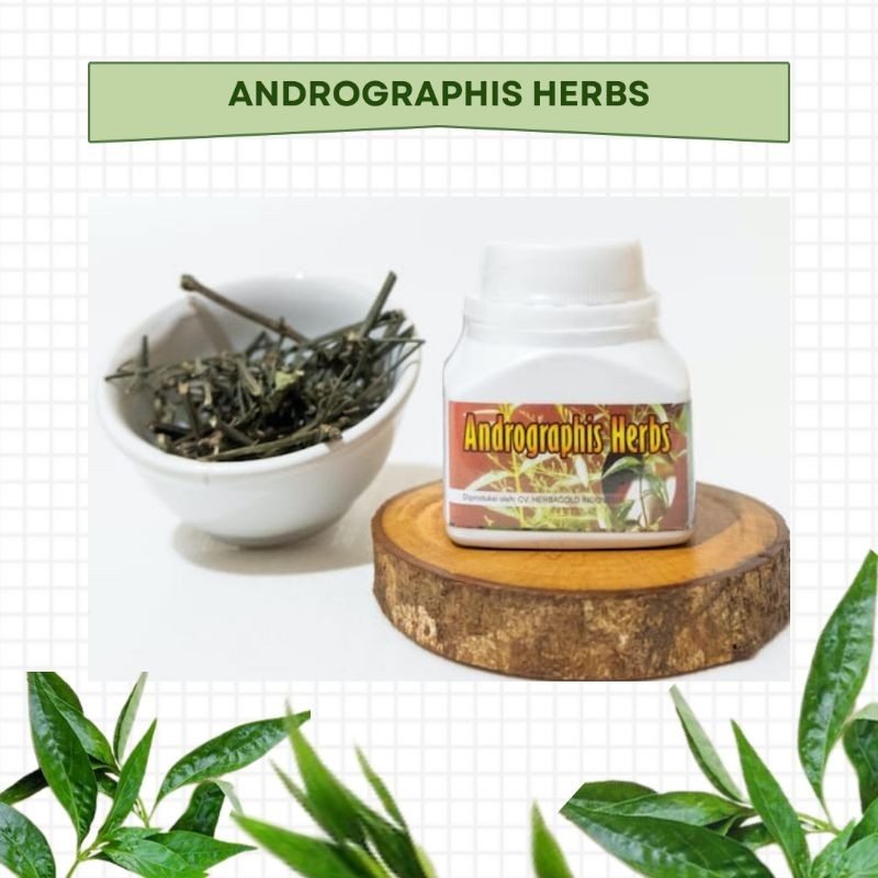 Jual Andrographis Herbs 30 Caps Herbal Sambiloto Shopee Indonesia