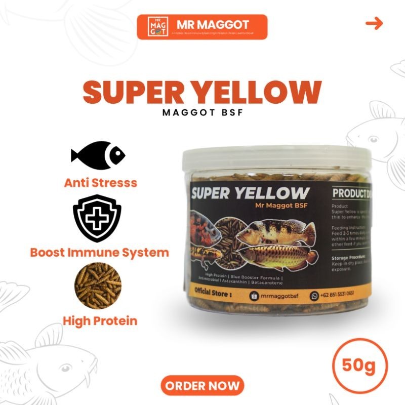 Jual MR MAGGOT - Super Yellow/Maggot Kering 50gram | Shopee Indonesia