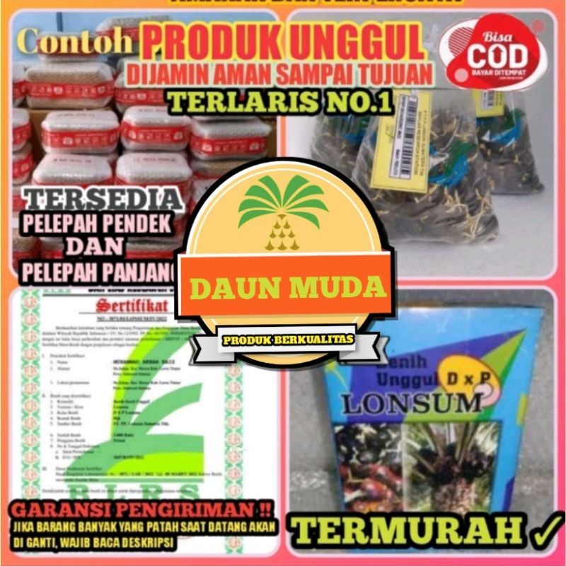 Jual benih unggul kecambah Dxp lonsum ( Isi 250 butir ) | Shopee Indonesia