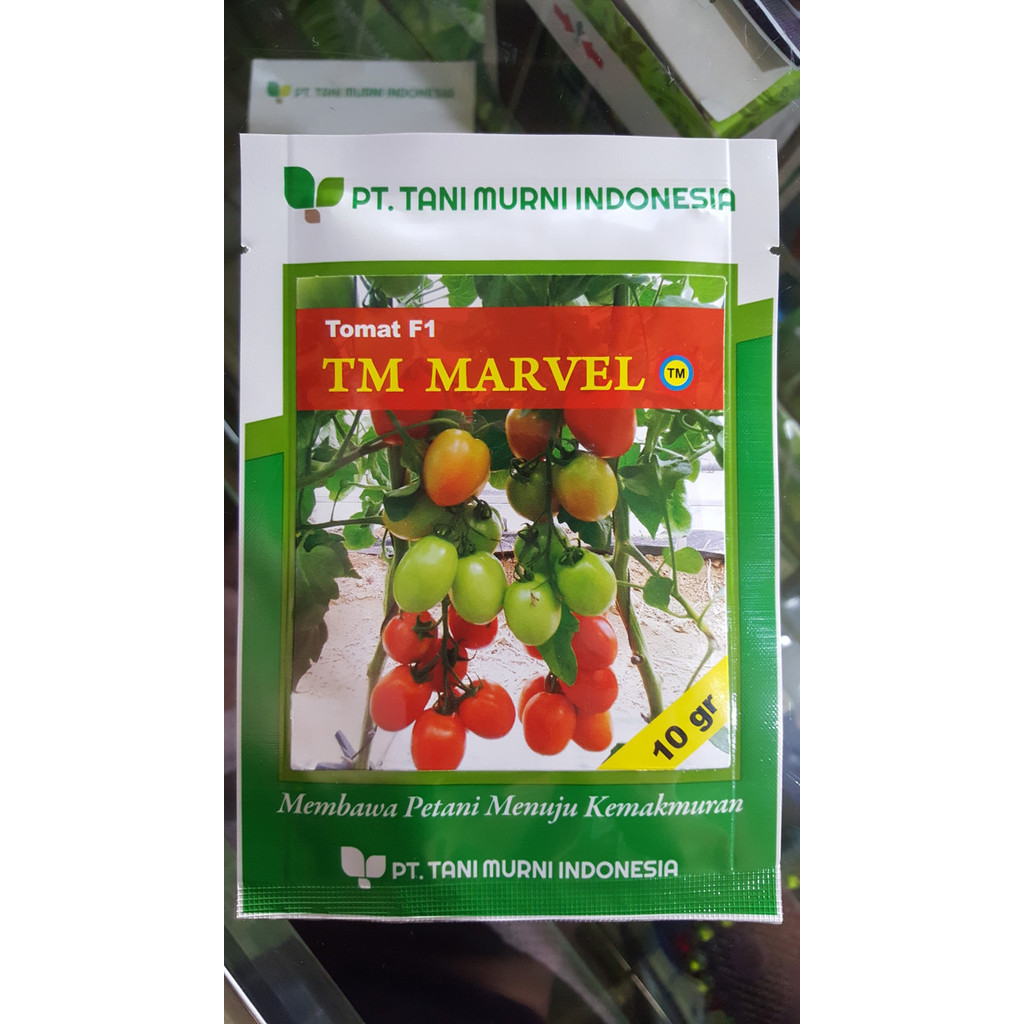 Jual Benih Tomat Bibit Tomat Besar Hibrida Tm Marvel 10Gr (3.500Biji ...