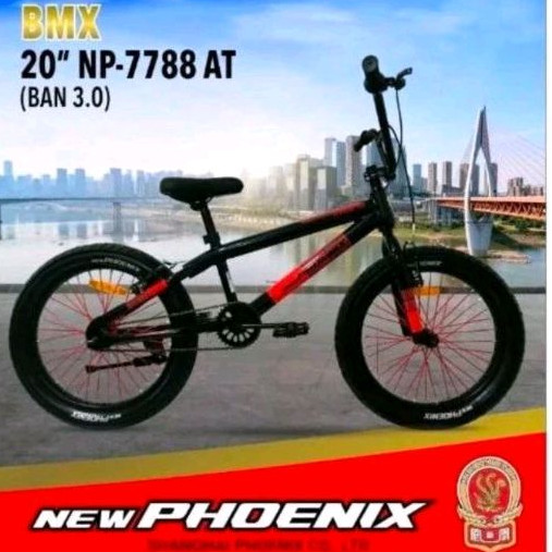 Jual SEPEDA BMX 20 PHOENIX BAN BESAR 3.0 RUJI WARNA | Shopee Indonesia