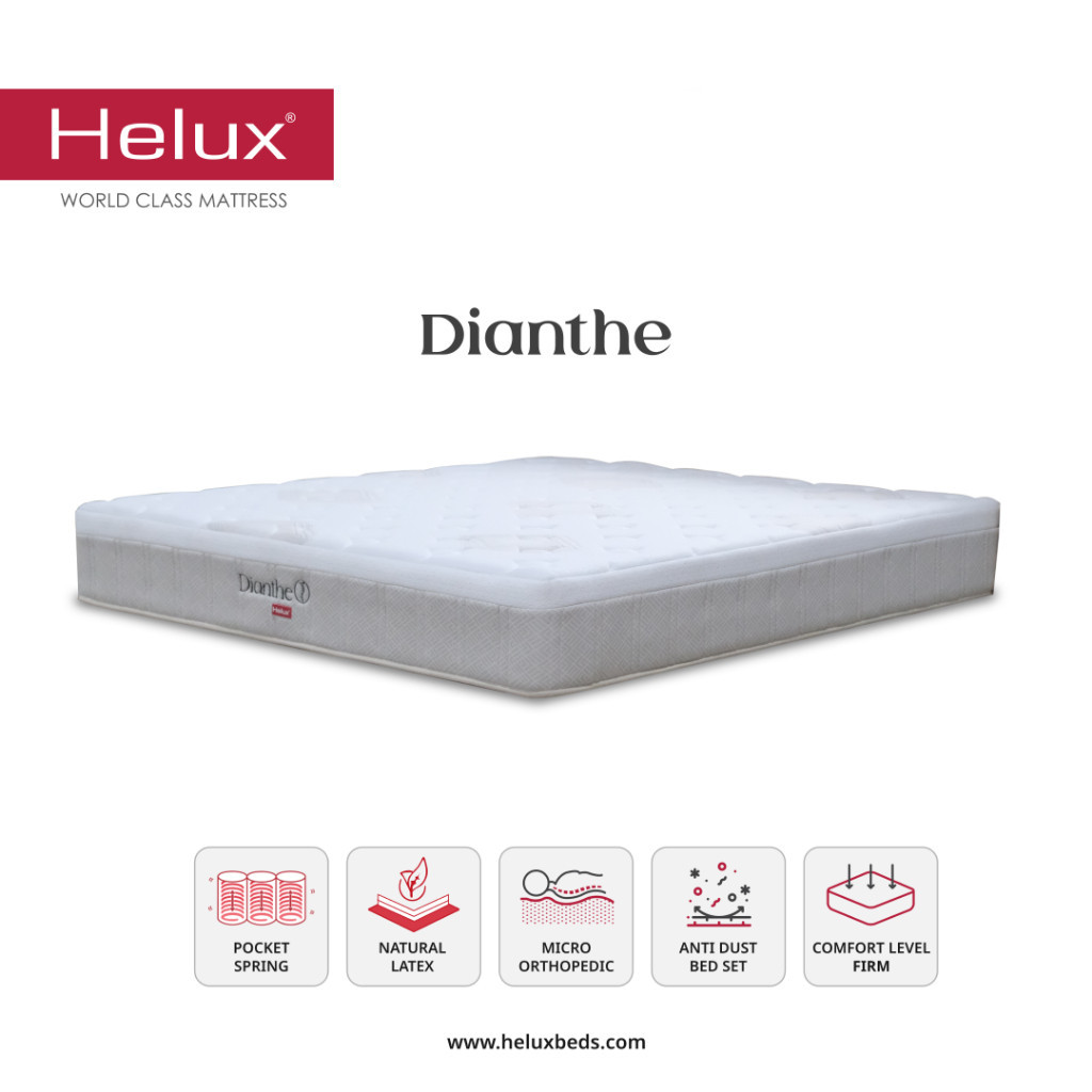 Jual Kasur Tempat Tidur Latex Springbed Orthopedic Helux Dianthe | Shopee Indonesia