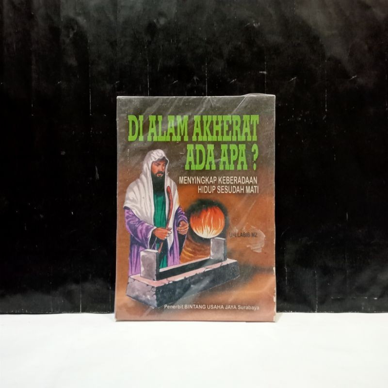 Jual Buku Di Alam Akherat Ada Apa ? Menyingkap Keberadaan Hidup Sesudah ...