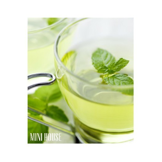 Jual BIJI BENIH BIBIT MINT HERBAL ISI 10 (PEPPERMINT) | Shopee Indonesia