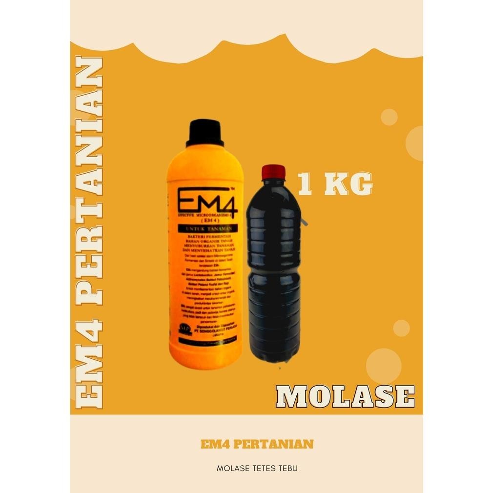 Jual Viral Em4 Pertanian Dan Molase 600 Ml Nutrisi Untuk Tanaman Cuci ...