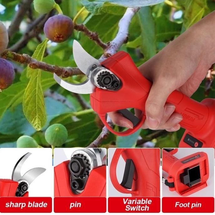 Jual Electric Gunting Rumput Gunting Pohon Ranting Gunting Pangkas ...