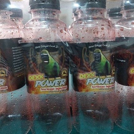 Jual MINUMAN DEXX POWER HORMON INJECTION PENGGACOR LOMBA HARIAN ...