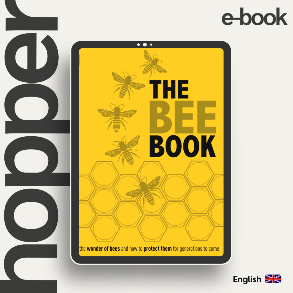 Jual The Bee Book: Discover the Wonder of Bees and How to Protect Them ...