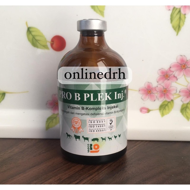 Jual Vitamin PRO B PLEK INJ 100 ML - Vitamin B kompleks Hewan Sapi ...