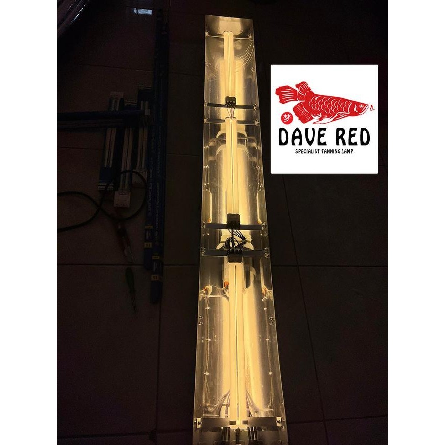 Jual Lampu Tanning Arwana Louhan PLL made in Polland 827 Kuning 2700 ...