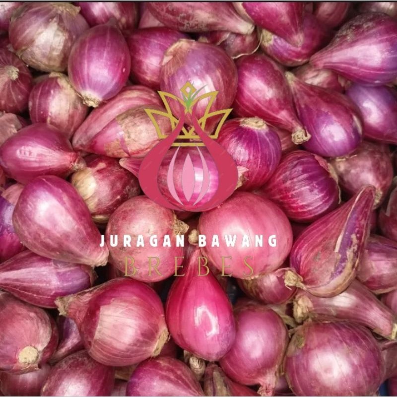 Jual Bawang Merah Brebes GEDE SEDENG kualitas premium 1kg | Shopee ...