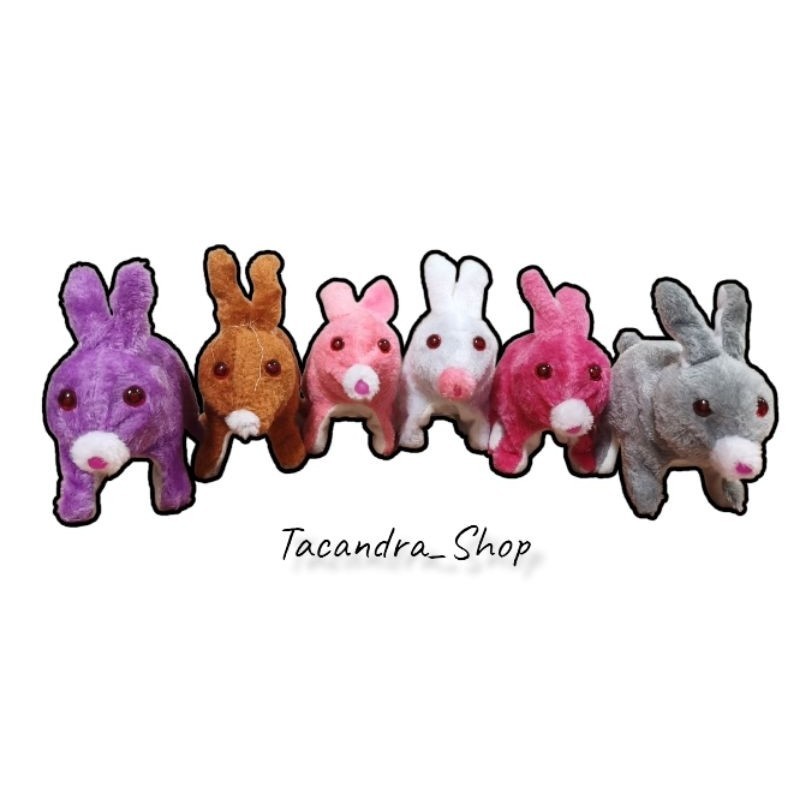 Jual Mainan KELINCI JALAN pakai baterai CUTE | Shopee Indonesia