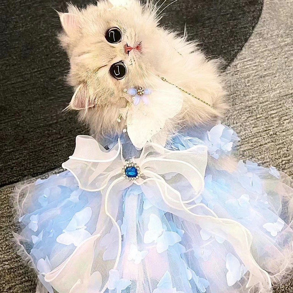 Jual Cat and Dog Skirt Butterfly Fairy Colorful Blue Butterfly Wings ...