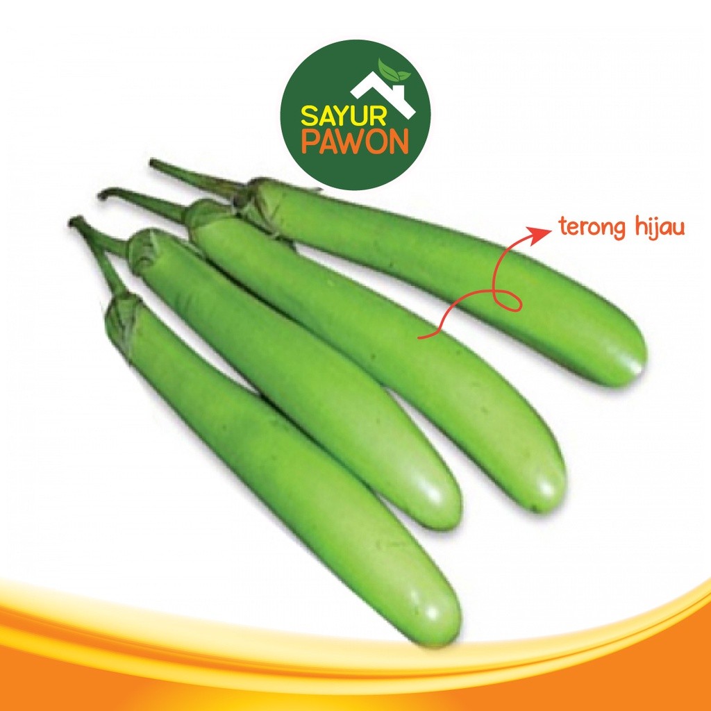 Jual TERONG HIJAU per 500 gram | Shopee Indonesia