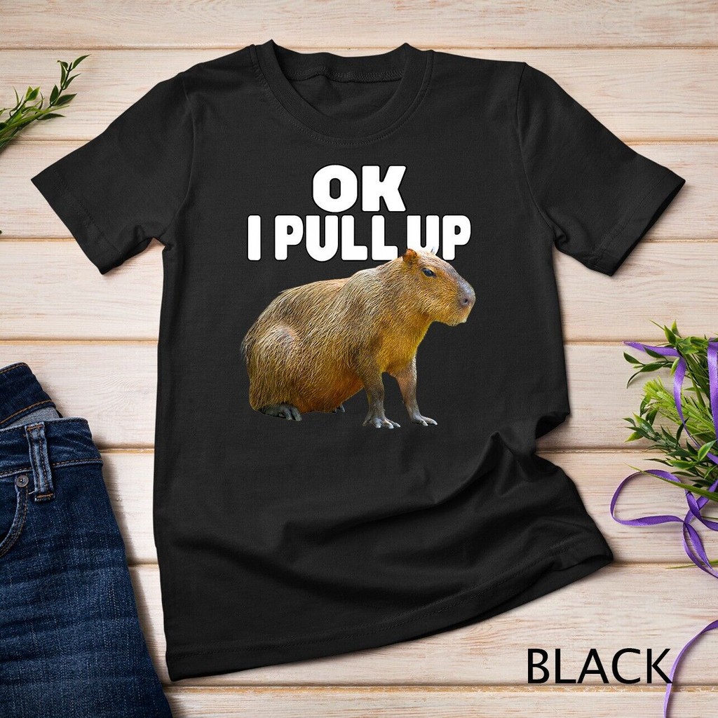 Jual Ok Saya Menarik Capybara Lucu Capybara Kekasih Dank Meme Kaos ...