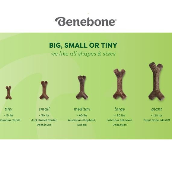 Jual Benebone Puppy Stick Dog Dental Chew Maplestick Mainan Gigit Anak ...