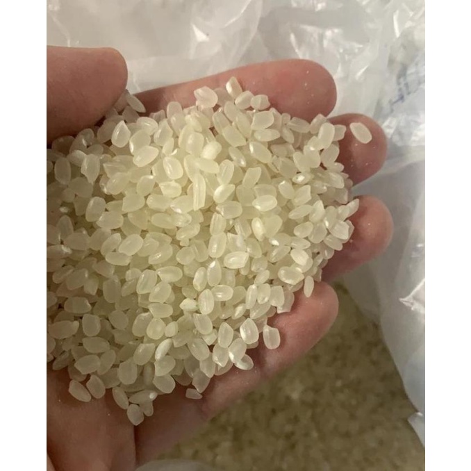 Jual Beras jepang koshihikari beras sushi koshihikari 5 kg | Shopee ...